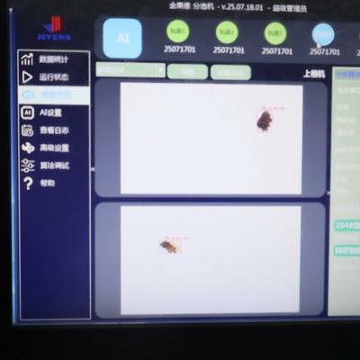 China Smart walnut kernel sorting machine with 8 HD cameras and Teflon conveyor, enabling automated contaminant removal with traceable batch documentation at 560–720 kg/h for sale