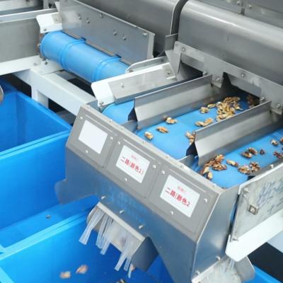 China Quick walnut kernel sorting machine with 12 adaptive outlets and deep learning AI, separating 15 grades in one production pass at 560–720 kg/h for sale