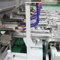 China Intelligent walnut kernel sorting machine with deep learning neural network and real-time grading log, strengthening export supply chain position at 560–720 kg/h for sale