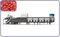 China Precise Red Dates Sorting Machine 380V Stainless Steel 1 T/H Intelligent for sale