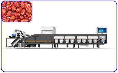 China Precise Red Dates Sorting Machine 380V Stainless Steel 1 T/H Intelligent for sale