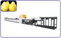 China 380V Automatic Fruit Sorting And Grading Machine for sale