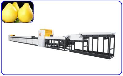 China 380V Automatic Fruit Sorting And Grading Machine for sale