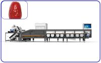 China Smart Machines Sort All Kinds Of Dates 12 Lanes Dates Sorting Machine for sale