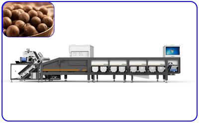 China Nuts Intelligent Robot Grading Sorting Machine 8 Channel Computer Control for sale