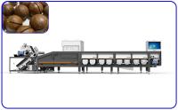 China High Precision 7.8KW Grading Sorting Machine 12 Channel Electric Drive Nuts Sorter for sale
