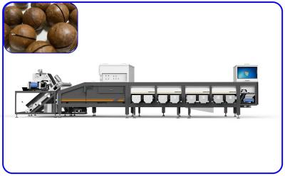 China High Precision 7.8KW Grading Sorting Machine 12 Channel Electric Drive Nuts Sorter for sale