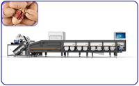 China Mechanical Pecan Sorting Machine 6 Channel Computer Control Robot Type for sale