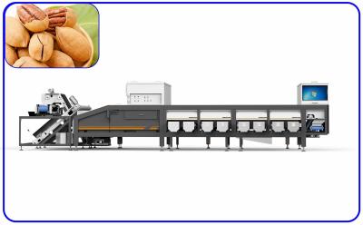 China Electric Drive Pecan Grading Sorting Machine Artificial Intelligence 12 Channel for sale