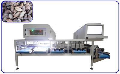 China Silver AI Pilinuts Grading Sorting Machine 8.5KW 16 Channel Stainless Steel for sale