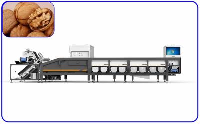 China Walnut Quick Grading Sorting Machine 6.3KW 6 Channel With AI Technology for sale