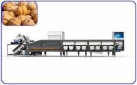 China Intelligent 8 Channel Walnut Sorting Machine 50Hz Agricultural Product Sorter for sale