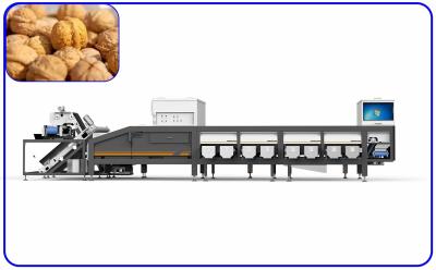 China Intelligent 8 Channel Walnut Sorting Machine 50Hz Agricultural Product Sorter for sale