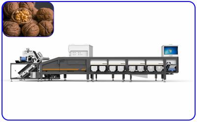 China Mechanical 16 Channel Walnut Sorter 2 T/H Optical Sorting Machine for sale