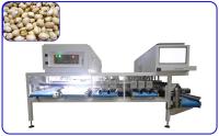 China Breakage Pistachio Sorting And Grading Machine High Speed 16 Channel for sale
