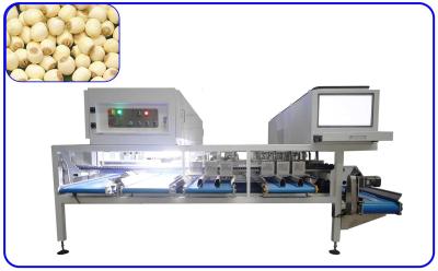 China Size Damage Lotus Seed Sorter Machine 6 Channel Stainless Steel for sale