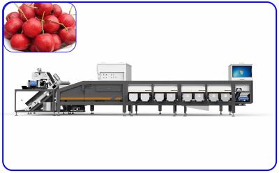China Hawthorn Sorting And Grading Equipment 6.3KW High Speed 6 Channel for sale