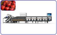 China Hawthorn Red Dates Sorting Machine 7KW 8 Channel 1 Ton Per Hour for sale