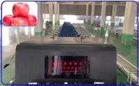 China 3 Channel Apple Sorting Sizing And Grading 380V One Time Rejection for sale