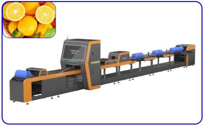 China Auto Sorting Sugar Orange Grading Machine 18.65KW 10 T/H 4 Channel Intelligent for sale