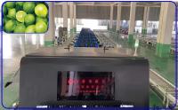 China Intelligent 3 Channel Lemon Sorting Machine Stainless Steel For 8 - 12 T/H for sale