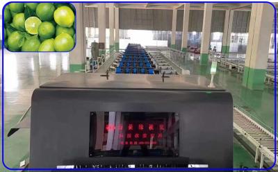 China Intelligent 3 Channel Lemon Sorting Machine Stainless Steel For 8 - 12 T/H for sale