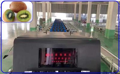 China 2 Channel Quality Sorting Equipment Intelligent Stainless Steel Kiwi Sorter for sale