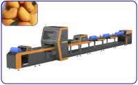 China 1 Channel Accurate Mango Fruit Sorting Machine Intelligent For Size And Quality for sale