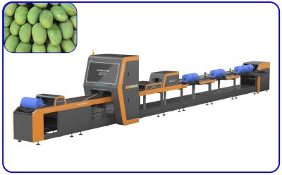 China Computer Control Mango Sorting Machine 18.65KW 4 Channel Intelligent for sale