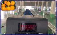 China 2 Channel Orange Sorter Equipment High Precision Intelligent For 4 - 6 T/H for sale