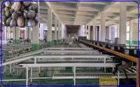 China Industrial Passion Fruit Sorting Machine 2 Channel Intelligent Various Configurations for sale