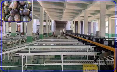 China Industrial Passion Fruit Sorting Machine 2 Channel Intelligent Various Configurations for sale