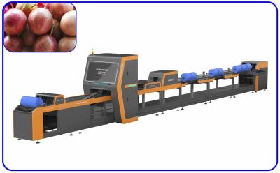 China 50Hz Passion Fruit Sorting Machine Intelligent 4 Channel Automatic Sorting Equipment for sale