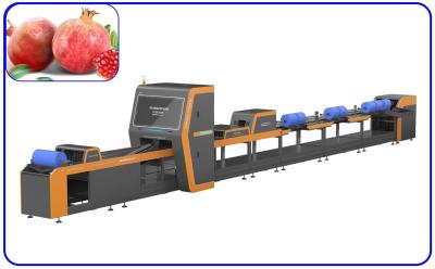 China Pomegranate Fruit Sorting Machine Electric Drive High Precision 4 Channel for sale