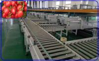 China Intelligent Tomato Sorting Equipment 3 Channel Automated Sorting Systems for sale