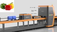 China 1 Channel Vegetable Sorting Machine Stainless Steel Robot Type For Bell Pepper for sale