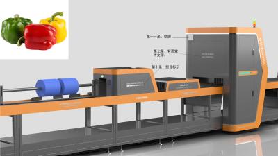 China 1 Channel Vegetable Sorting Machine Stainless Steel Robot Type For Bell Pepper for sale