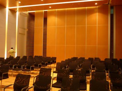 China Custom  Hanging Partition Panel /  Wooden Partition Wall For Convention Hall for sale