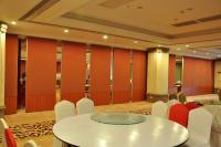 China Multi Color Banquet Hall Movable Partition Wall Operable Floor to Ceiling System for sale