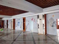 China Top Hanging Folding Sliding Partition Wall For Exhibition Hall / Art Gallery for sale