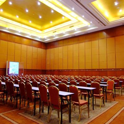 China Internal Cubicle Sliding Floor To Ceiling Partitions Wall For Banquet Hall for sale