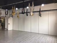 China Commercial Movable Partition Wall Sliding Panel 600mm-1200mm 53dB Acoustic for sale