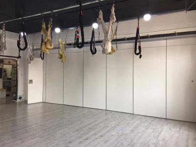China Commercial Movable Partition Wall Sliding Panel 600mm-1200mm 53dB Acoustic for sale