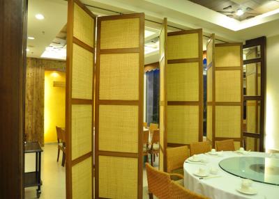 China Demountable Partition Folding Internal Doors  Stackable Acoustic Partitions for sale