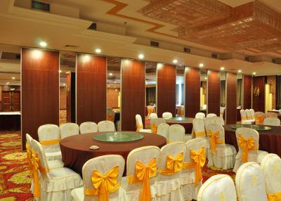China Aluminum Frame Operable Partition Wall 1230mm Width 4000mm Height for Art Gallery Meeting Room for sale