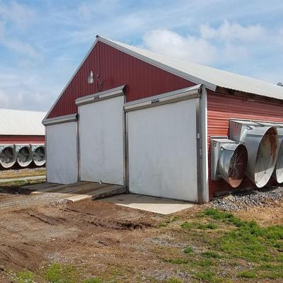 China H Beam Steel Structure Poultry House with Q235 Q345 Frame - 8-30m Span, 30-50 Year Lifespan for sale