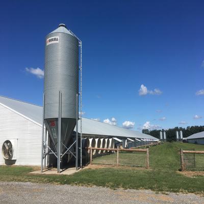 China Q235 Q345B Steel Frame Chicken House Prefabricated Poultry Building 50,000-200,000 Bird Capacity for sale