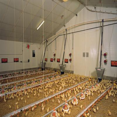 China Fully Automated Modular Steel Poultry House with Fireproof Design, 50+ Year Lifespan and AI Climate Control for sale