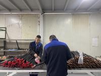 China Copper Water Cooled Cables Secondary Cooled Cable for sale