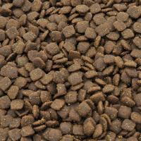 China Vitamin Rich Chicken Breast Dry Cat Food for sale